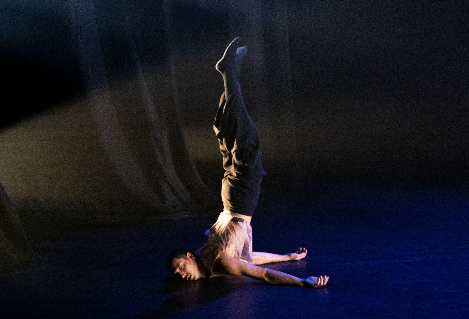 Bliss, Courage & Kong: Gibney Company’s Mixed Rep Program Delivers ...
